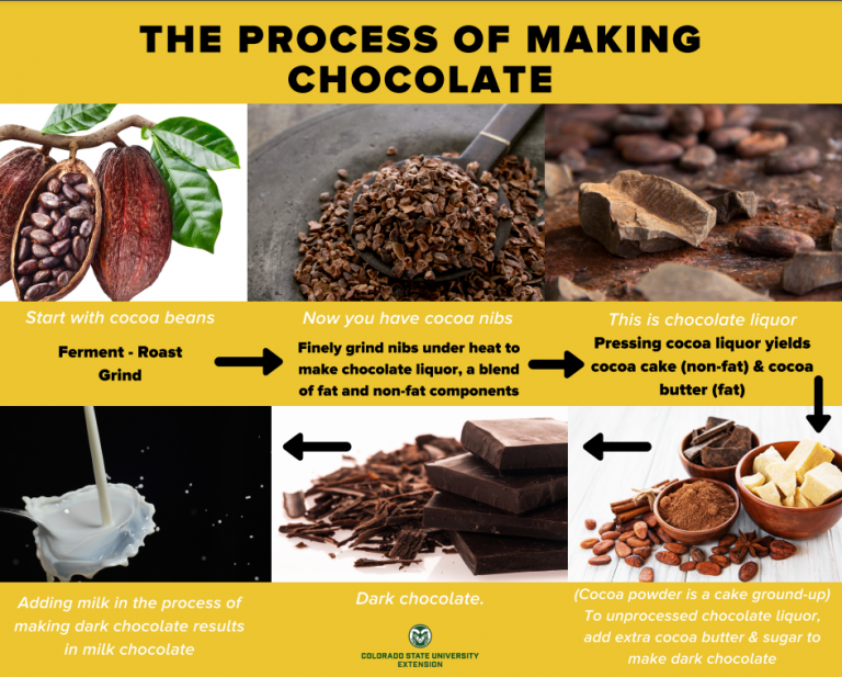 Chocolate: Good for the Heart and Soul - Live Smart Colorado