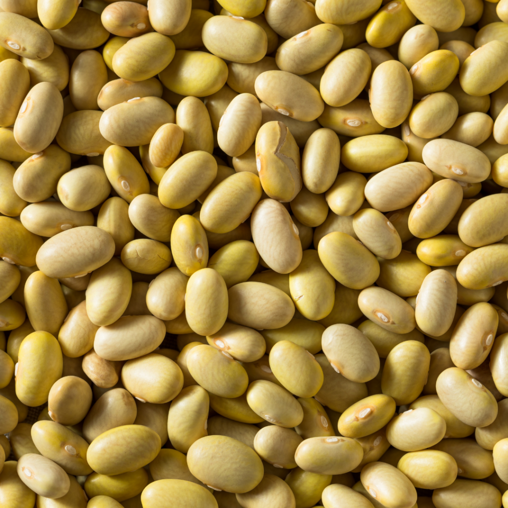 Try Adding this Secret Ingredient to Your Smoothies! - Live Smart Colorado