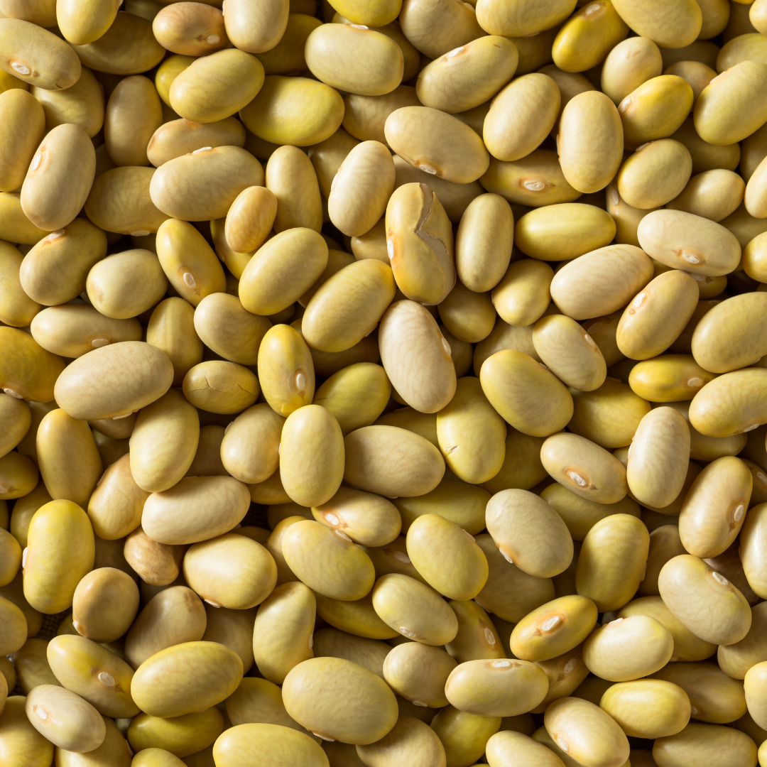 Try Adding this Secret Ingredient to Your Smoothies! - Live Smart Colorado